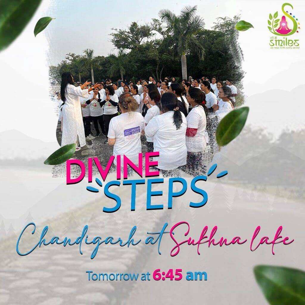 Our Work | Brandent – Creative Branding & Digital Projects